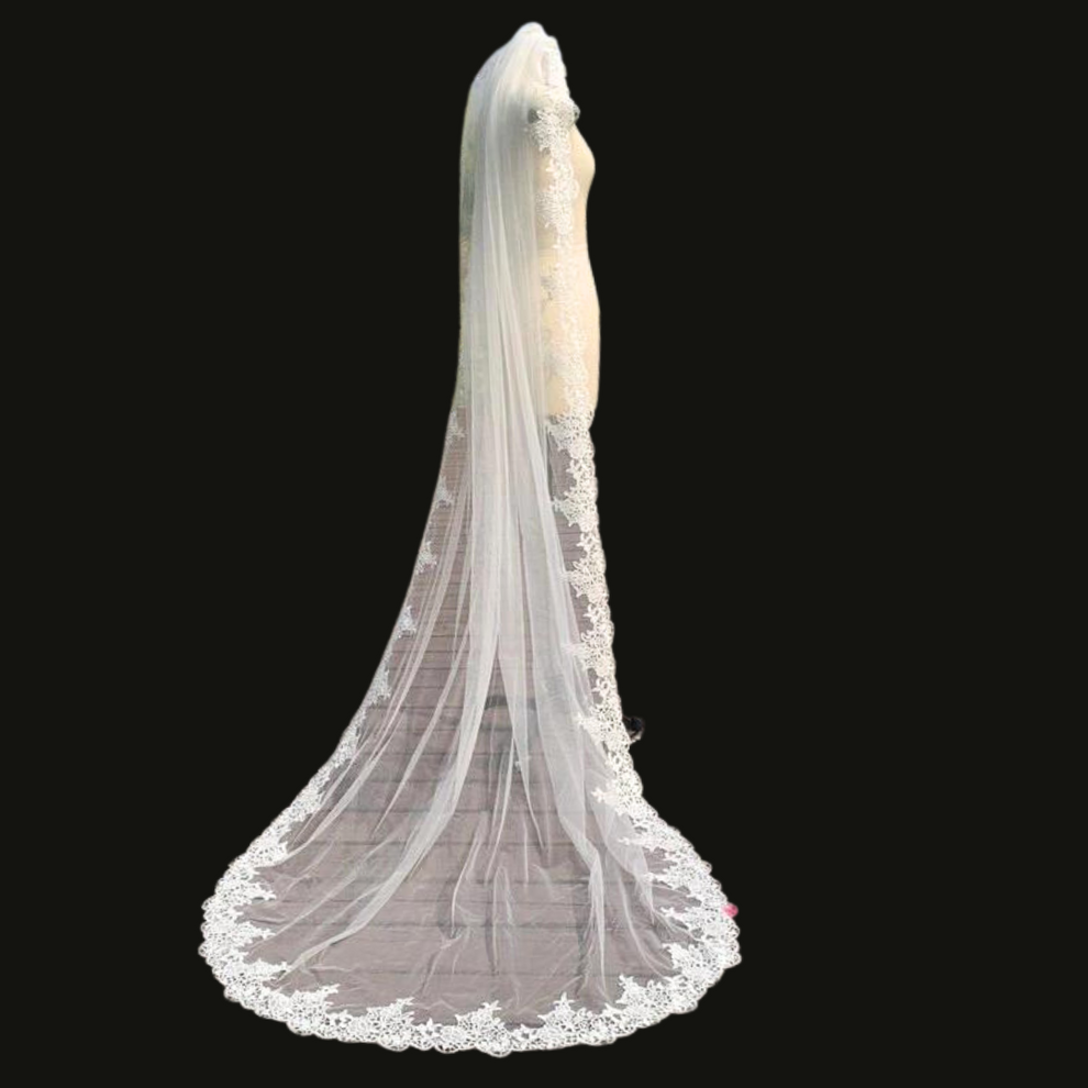 Buy Long Bridal Veil with Lacework in India | Gownlink – GownLink